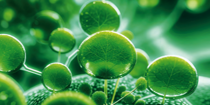 Chlorophyll a Fluorescence Measurements in Croatia – First Twenty Years ...