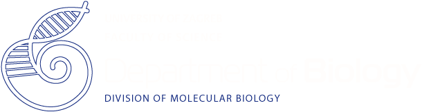 - Department of Molecular Biology